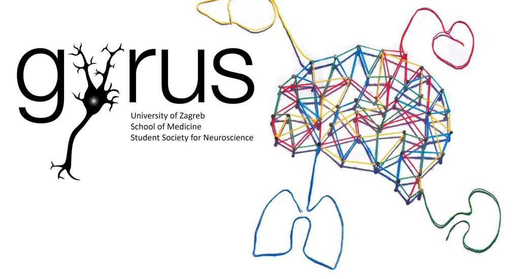 Gyrus – School of Medicine