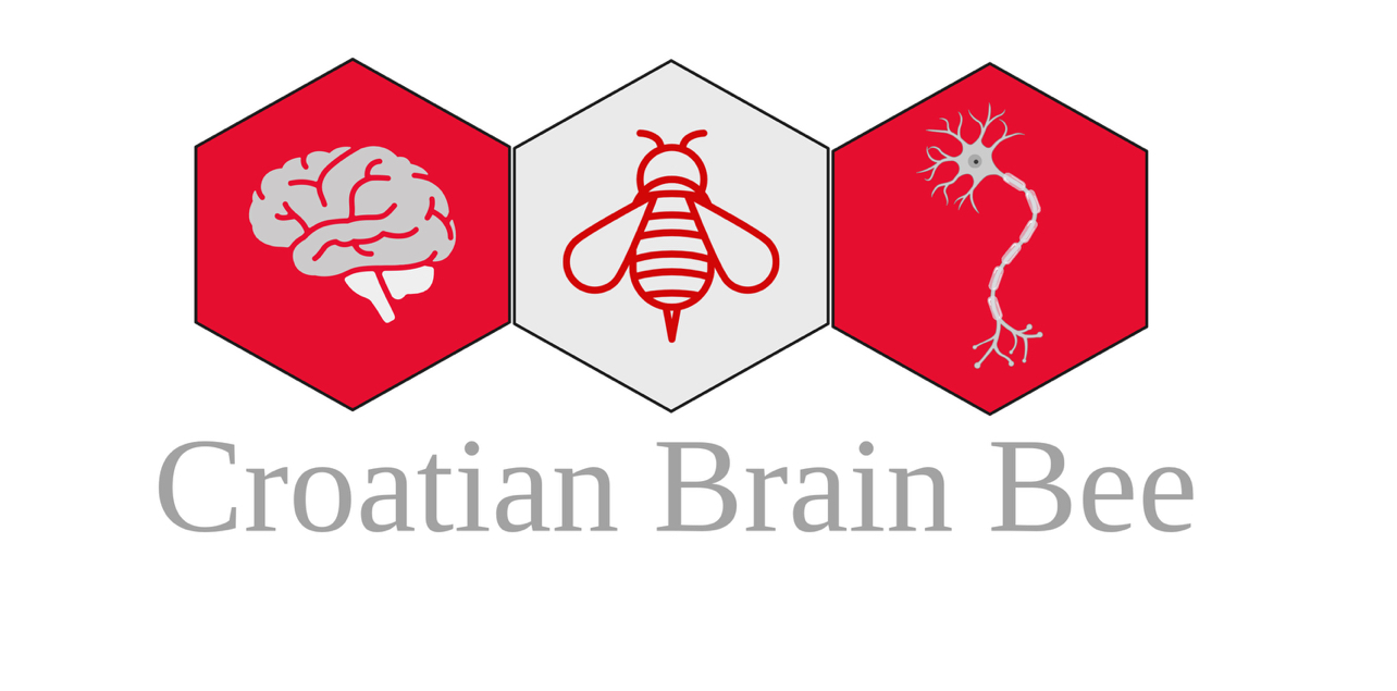 Croatian Brain Bee logo – Medicinski fakultet